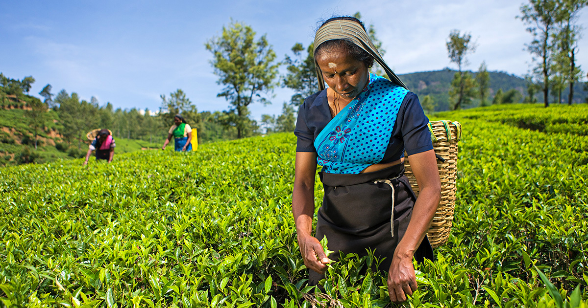 Measurement for Program Improvement | Mathematica Global Services